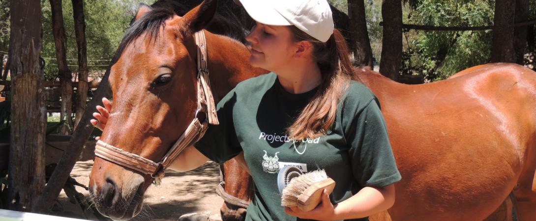 Working with Animals | Animal Welfare Policy | Projects Abroad